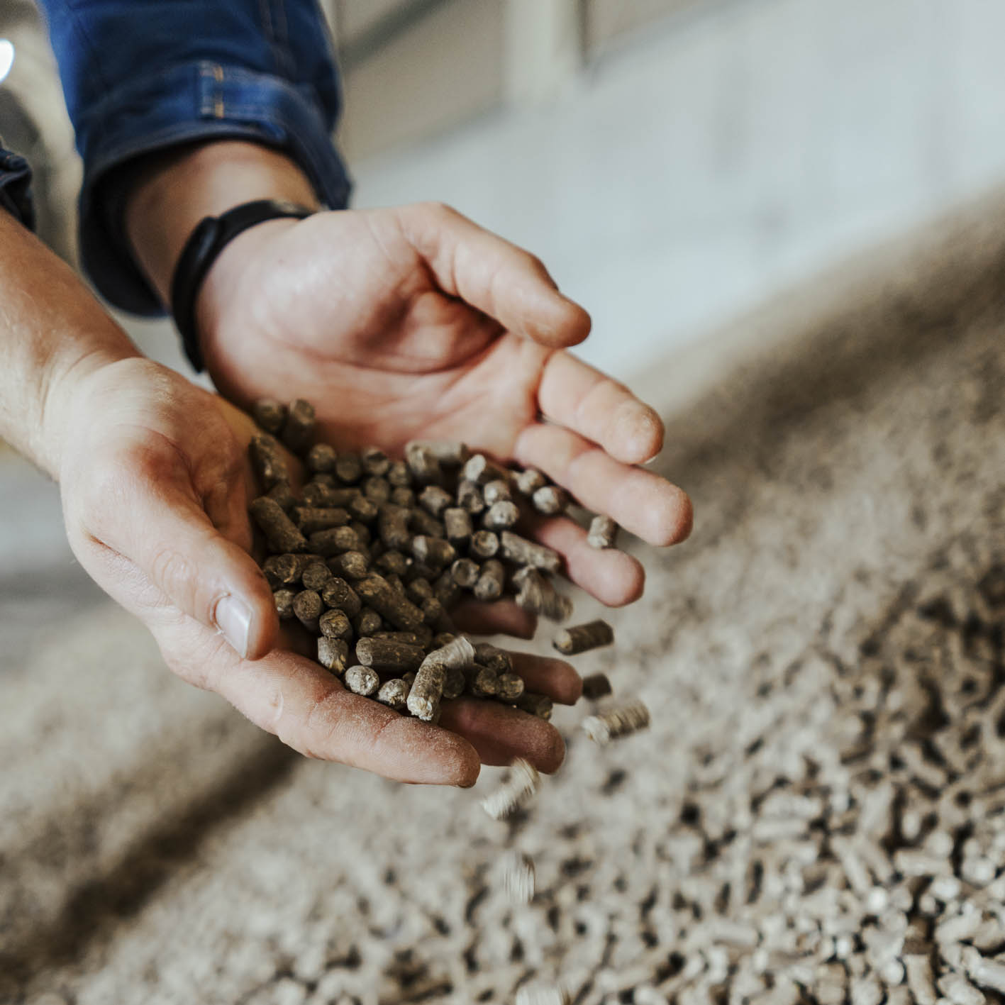 East Grain Hungary Kft. Támogatja a teljes termelési folyamatot, a vetéstől az aratásig!